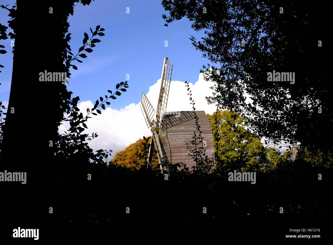 Nutley windmill ashdown forest hi-res stock photography and images - Alamy