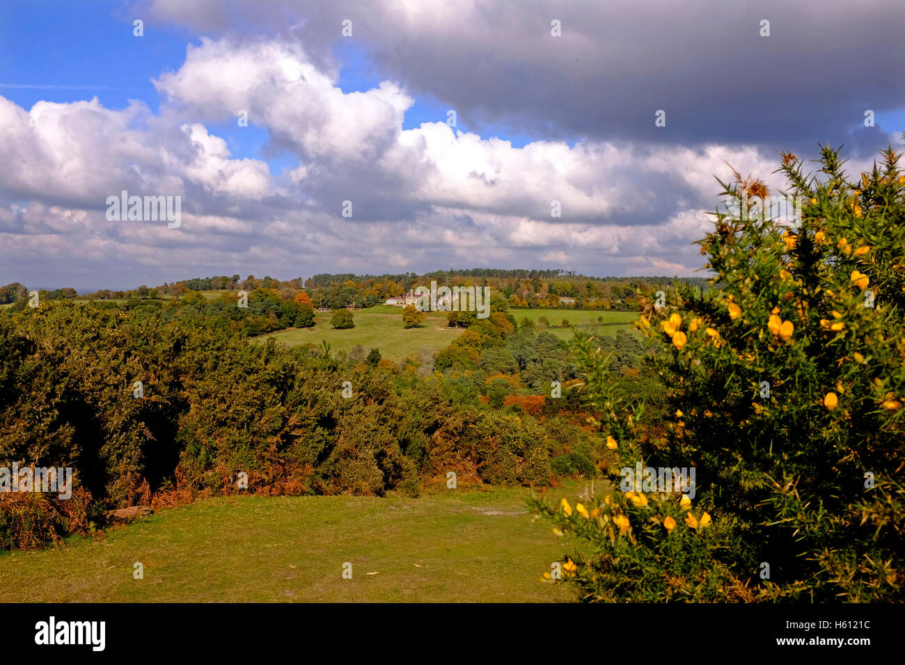 Ashdown forest hi-res stock photography and images - Alamy
