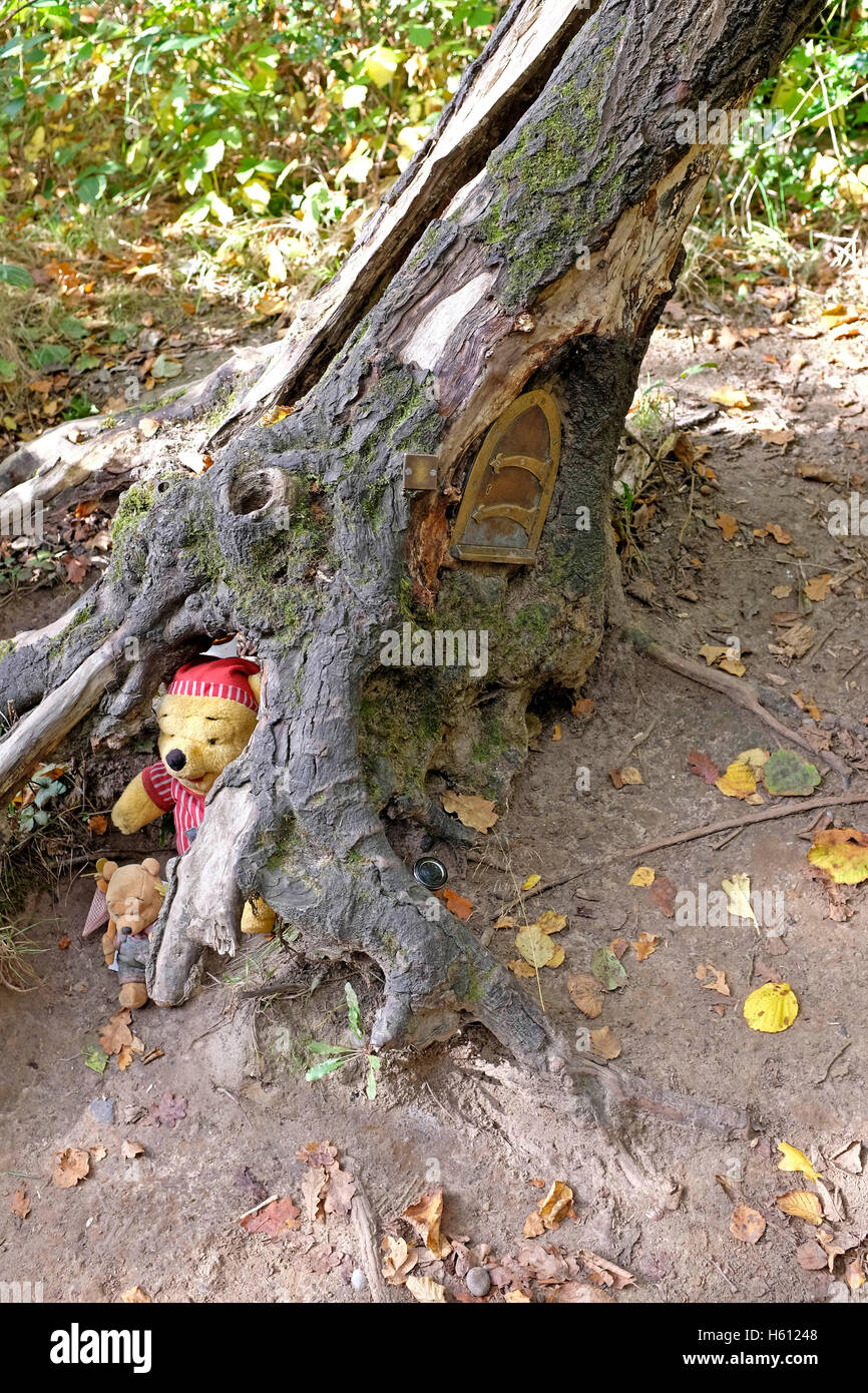 Shrine to Winnie the Pooh in the heart of Ashdown Forest Hartfield ...