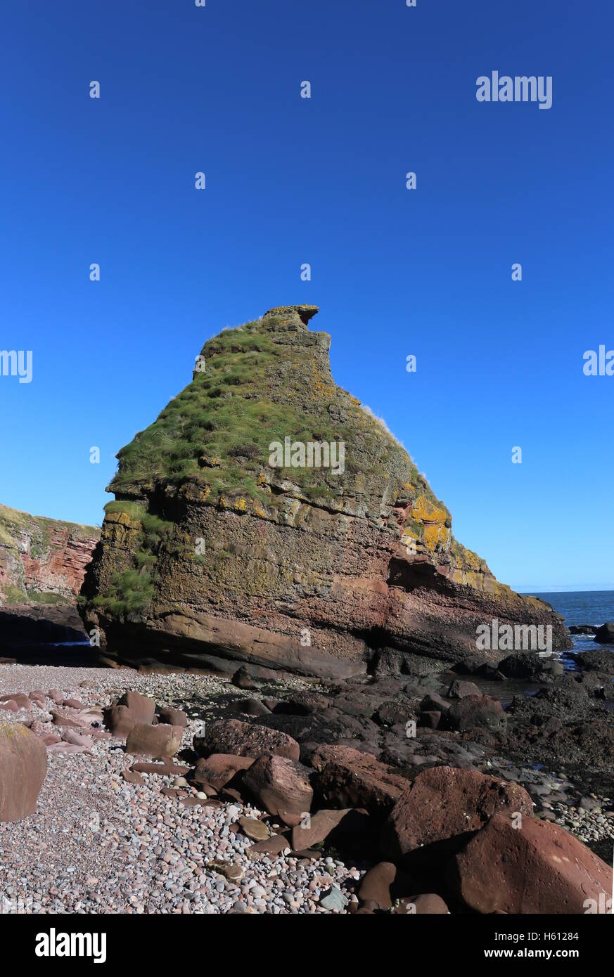 Rock stack Auchmithie beach Angus Scotland October 2016 Stock Photo - Alamy