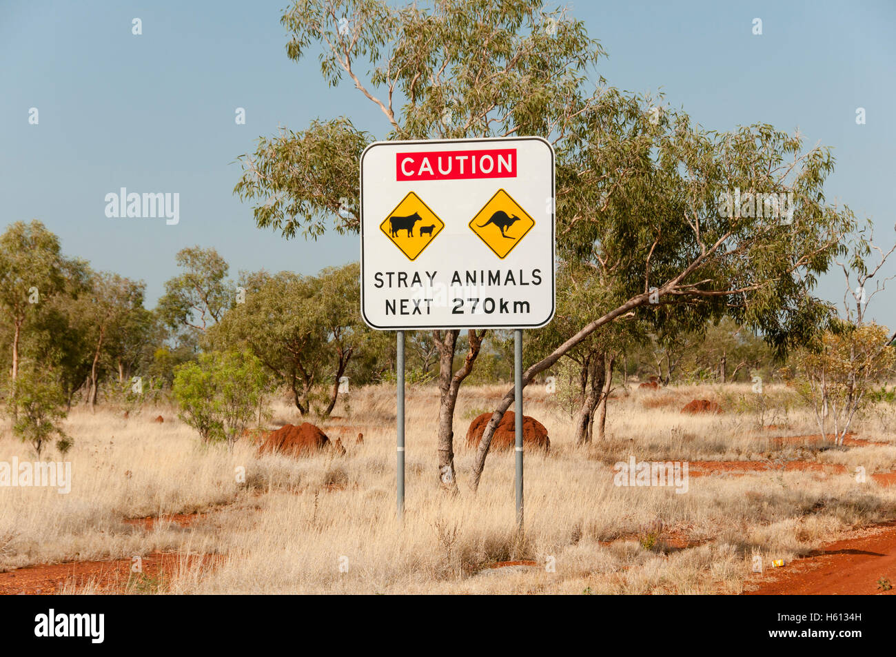 Stray Animals Road Sign - Australia Stock Photo - Alamy