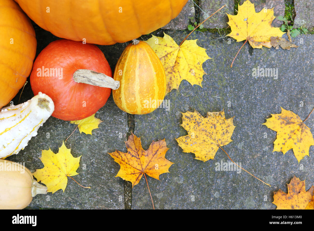 Welcome fall Pumpkins Background Stock Photo - Alamy
