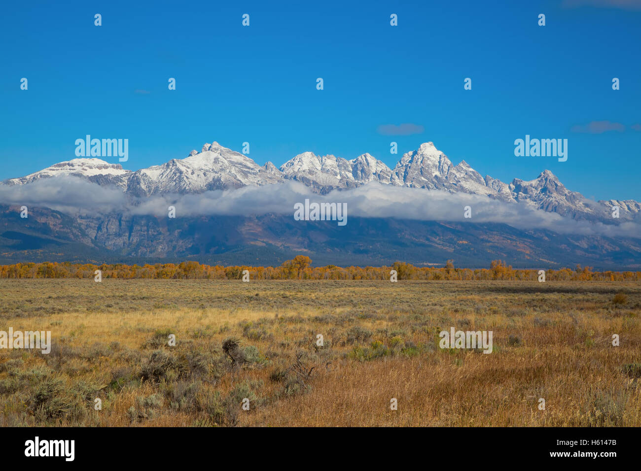 Grand Teton National Park, Wyoming, USA Stock Photo - Alamy
