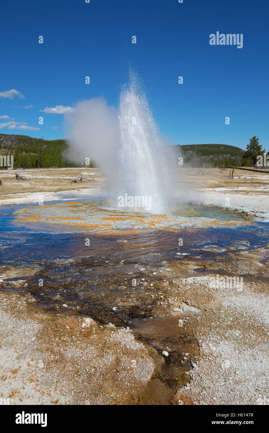 Jewel geyser eruption in the Yellowstone national park, USA Stock Photo ...