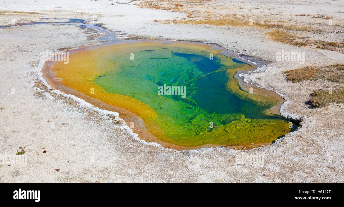 Colorful hot water pool in the Yellowstone Natinal park, USA Stock ...