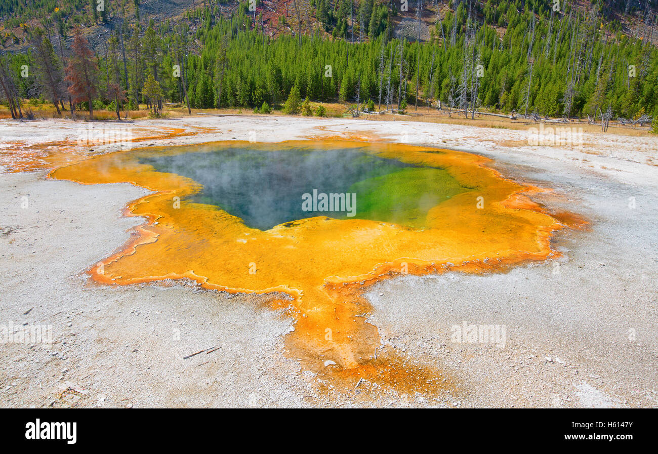 Colorful hot water pool in the Yellowstone Natinal park, USA Stock ...