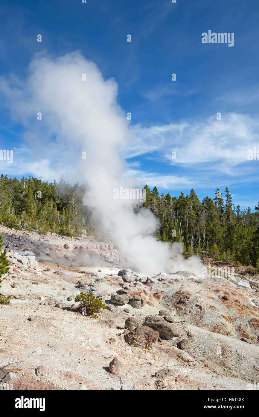 Steamboat geyser eruption in the Yellowstone national park, USA Stock ...