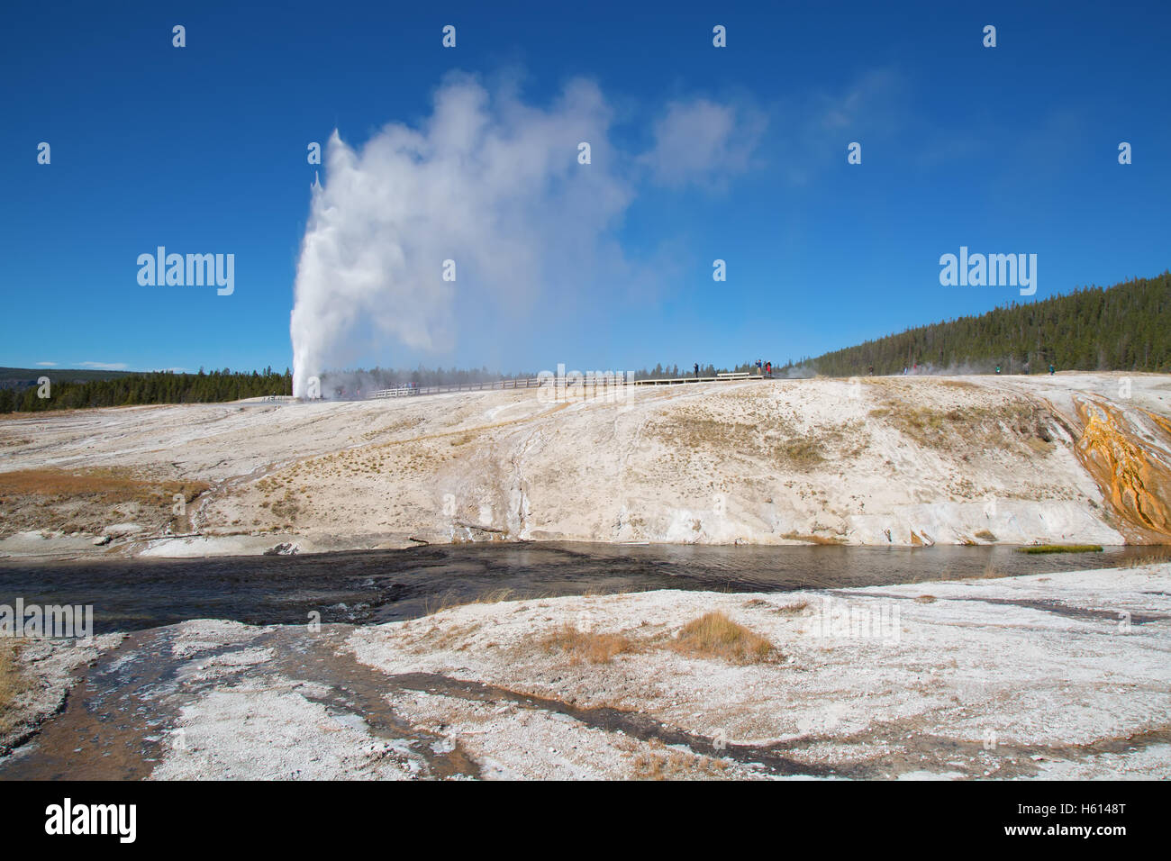 Cone geyser eruption in the Yellowstone national park, USA Stock Photo ...
