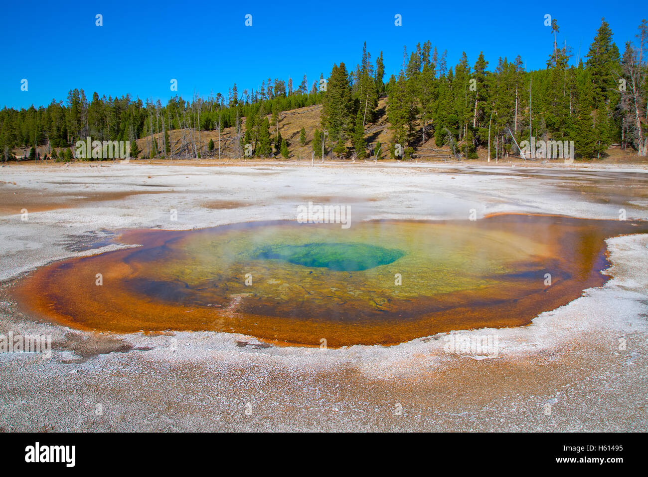 Colorful hot water pool in the Yellowstone Natinal park, USA Stock ...