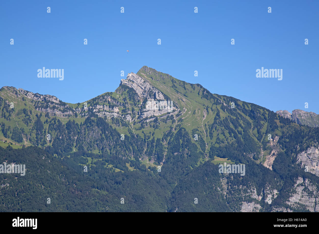 Summer landscape in the Walensee region (Churfirsten mountain range in ...