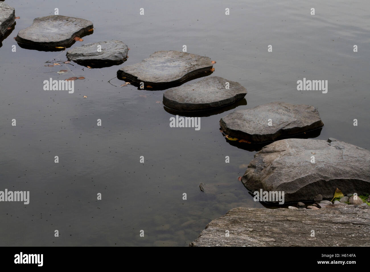 Stone Path Across Pond Stock Photo - Alamy