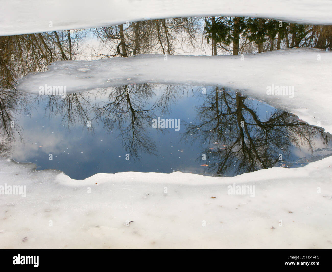 Reflection of Trees in Melting Pond Stock Photo - Alamy