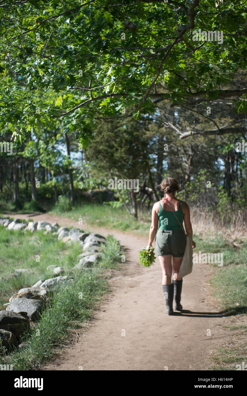 Woman Walking Down Path with Foraged Plants in Hand, Rear View Stock ...