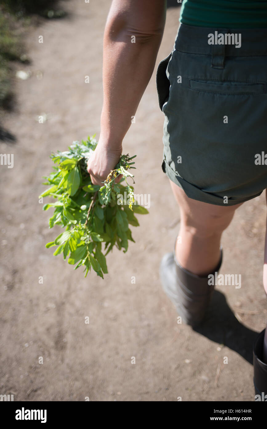 Hand rear view hi-res stock photography and images - Alamy