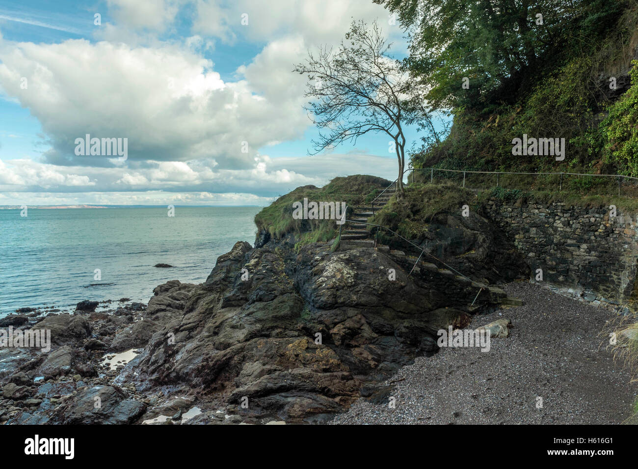 Coastal path devon torquay hi-res stock photography and images - Alamy