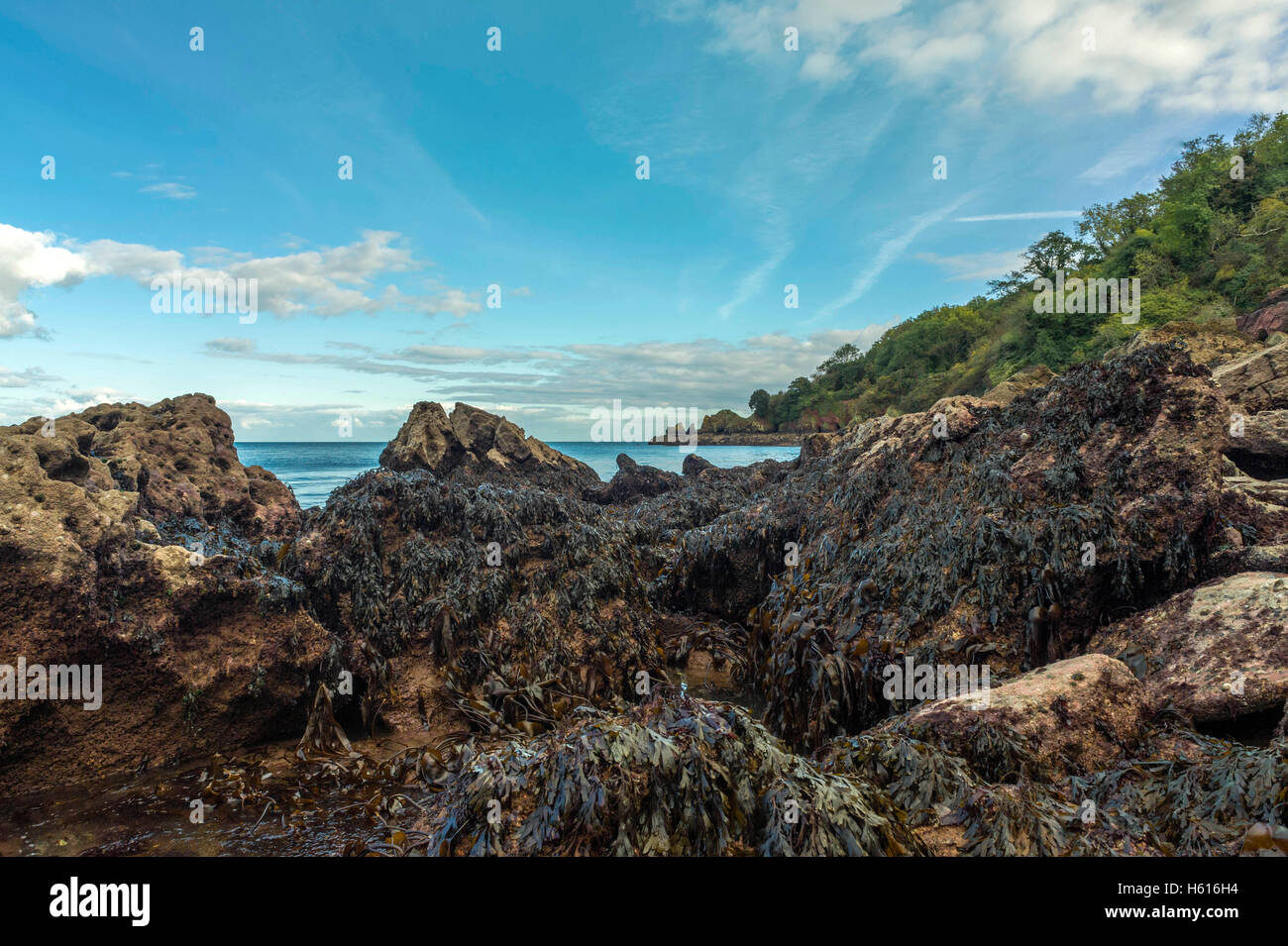 Seascape depicting the rocky, pebbled shoreline at Ansteys Cove ...