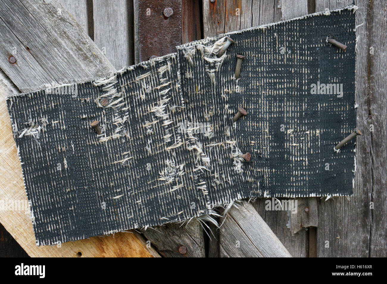 Piece of old rubber is beaten by rusty nails to a wooden door of a ...