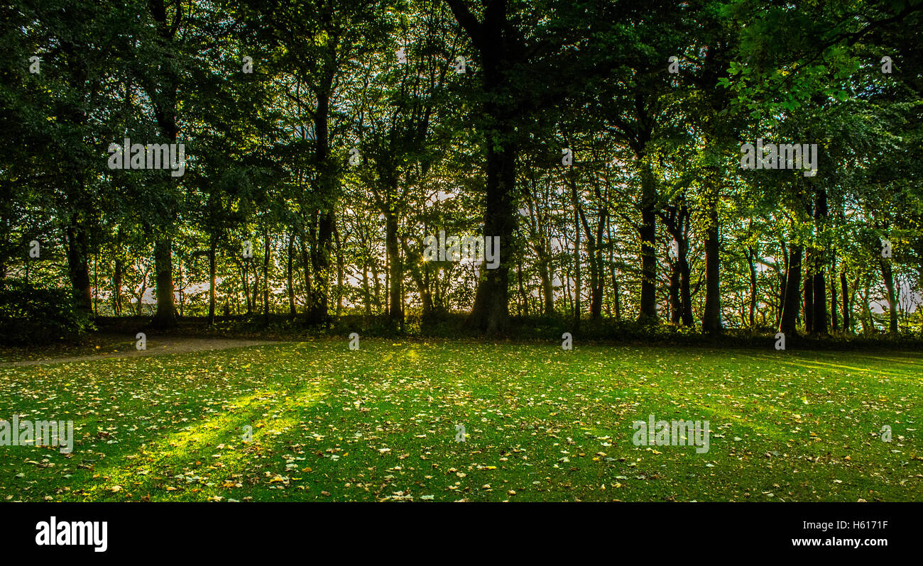 Fall at the old castle Stock Photo - Alamy