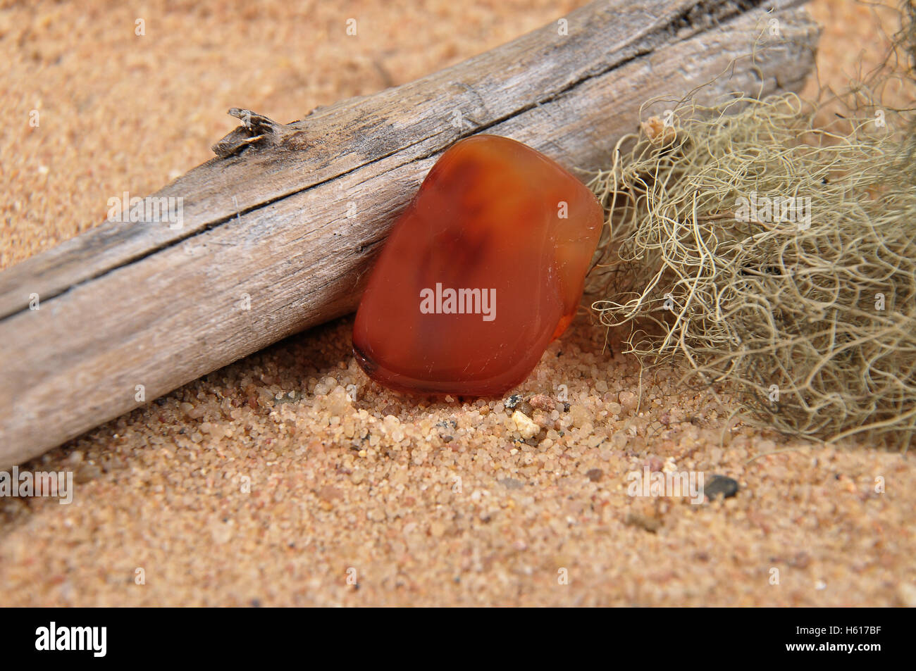 Carnelian on beach Stock Photo - Alamy