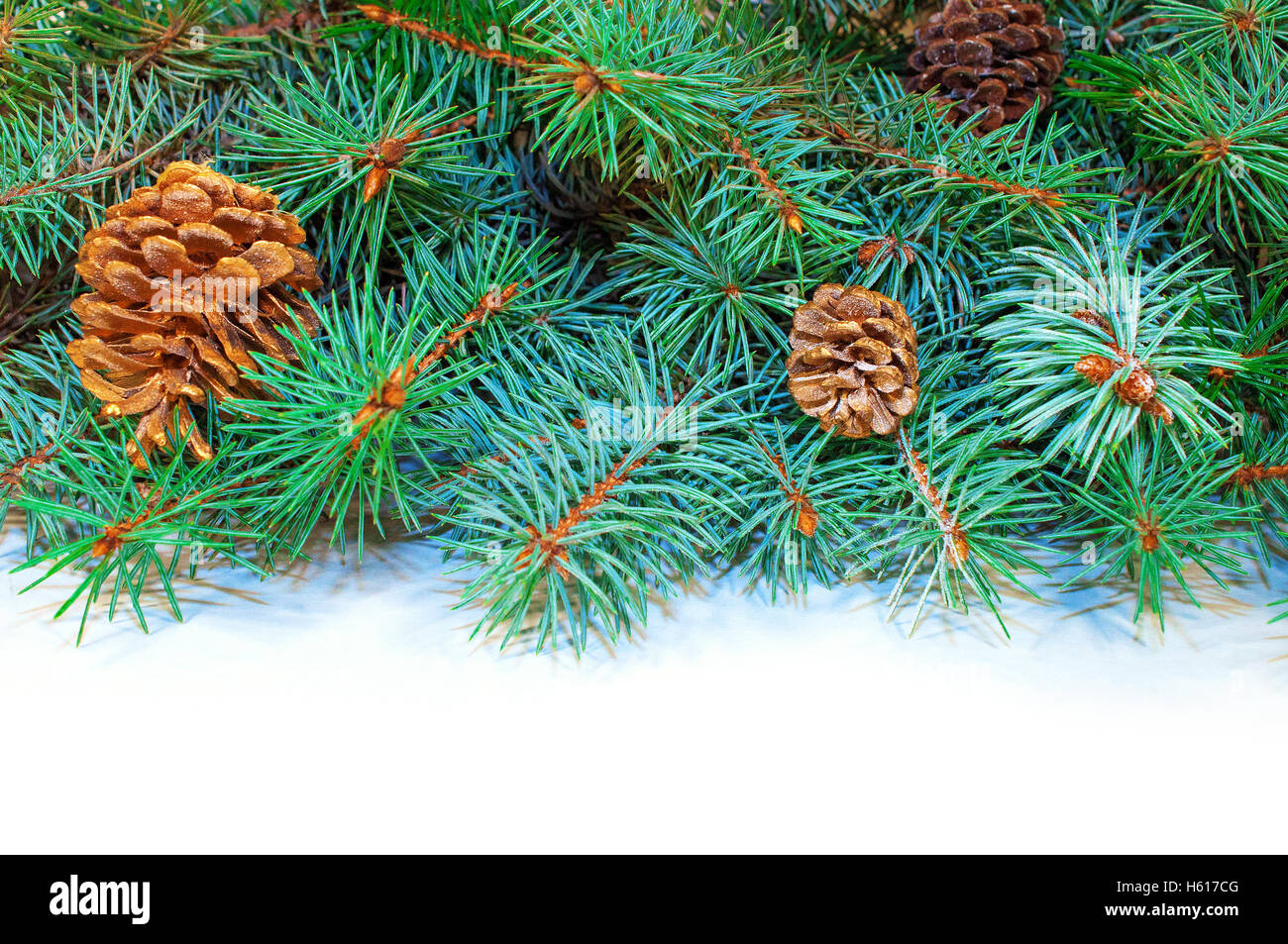 Furry Christmas tree branches with cones Stock Photo - Alamy
