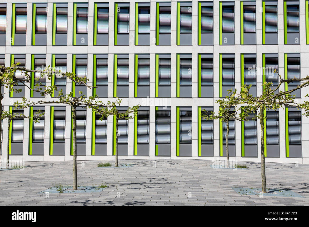 facade of a modern office building, small windows, small trees in front ...