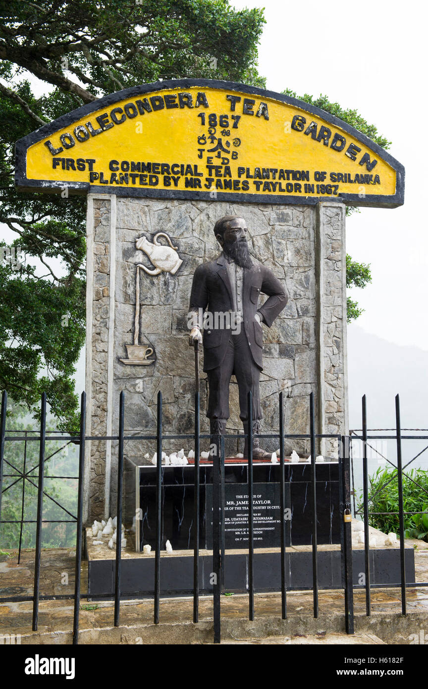 Statue of James Taylor, the first tea producer in Ceylon (Sri Lanka ...