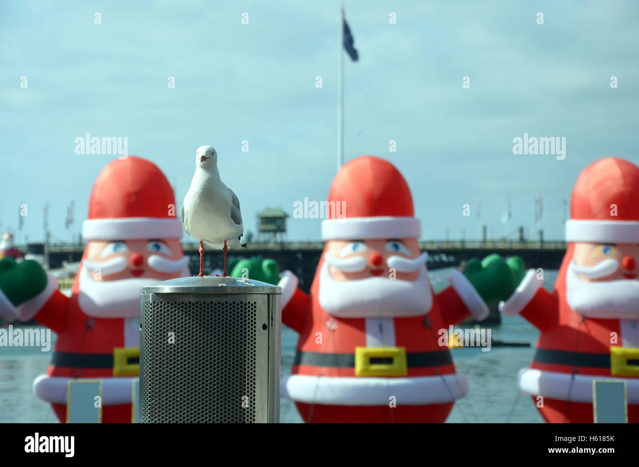 Seagull in the front. A bunch of inflated Santa Claus are decorating ...