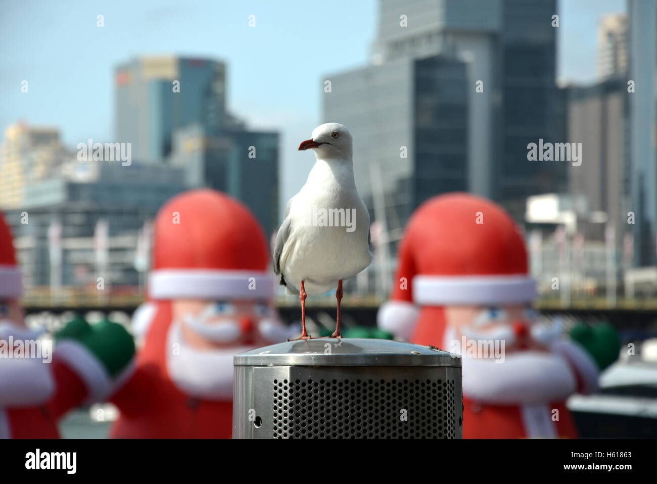 Seagull in the front. A bunch of inflated Santa Claus are decorating ...