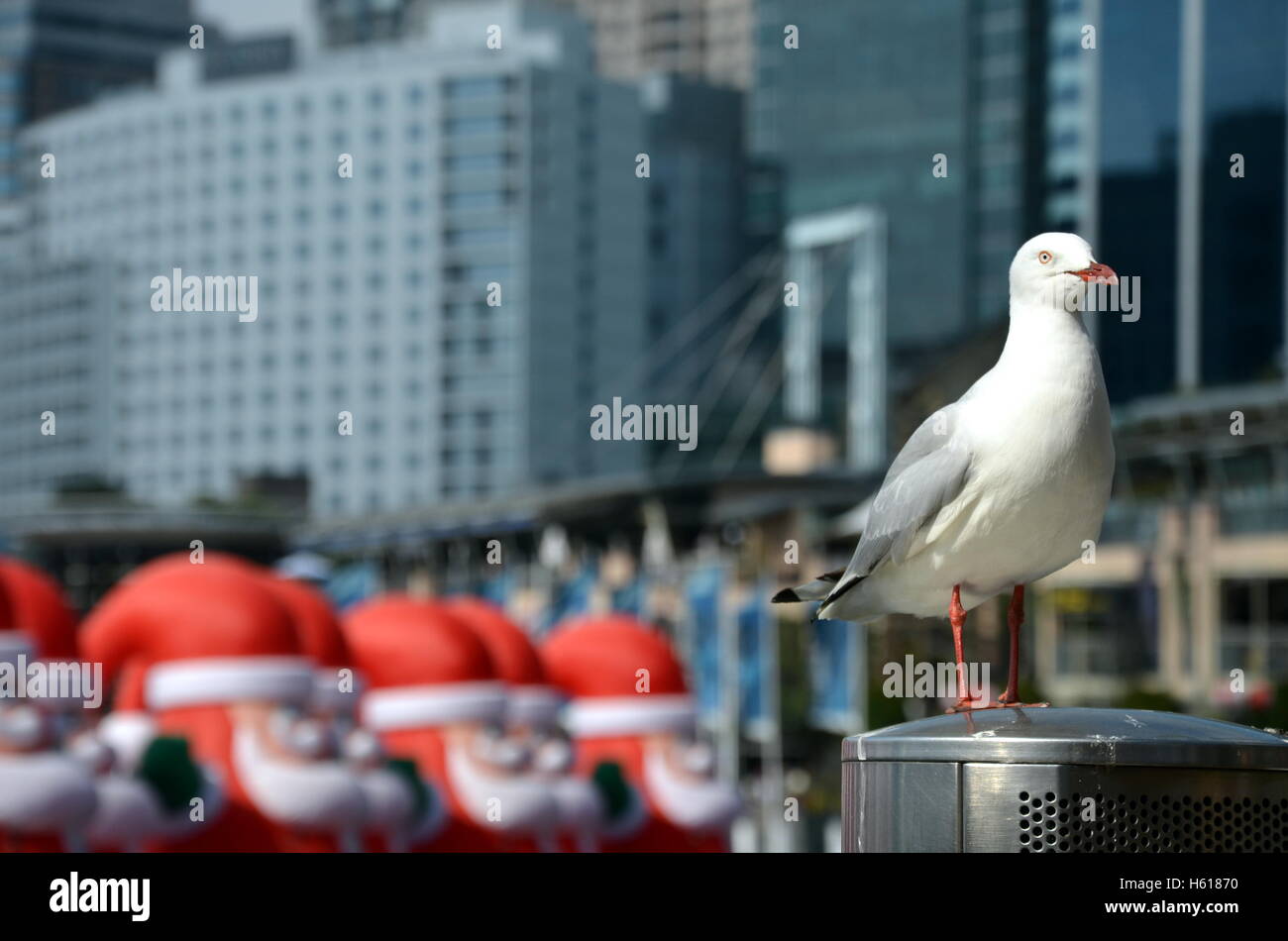 Seagull in the front. A bunch of inflated Santa Claus are decorating ...