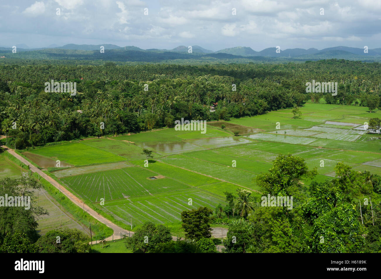 Rice palace hi-res stock photography and images - Alamy
