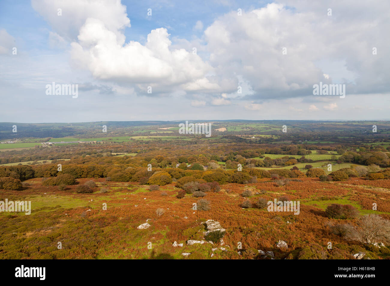 Ty Canol Woods nature reserve near Newport, Pembrokeshire, Wales, in ...