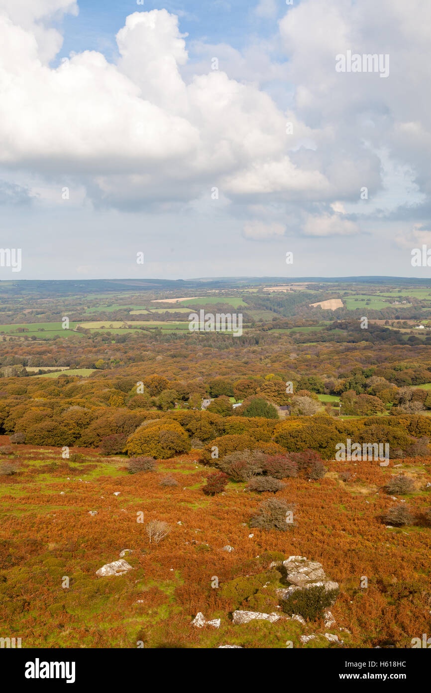Ty Canol Woods nature reserve near Newport, Pembrokeshire, Wales, in ...