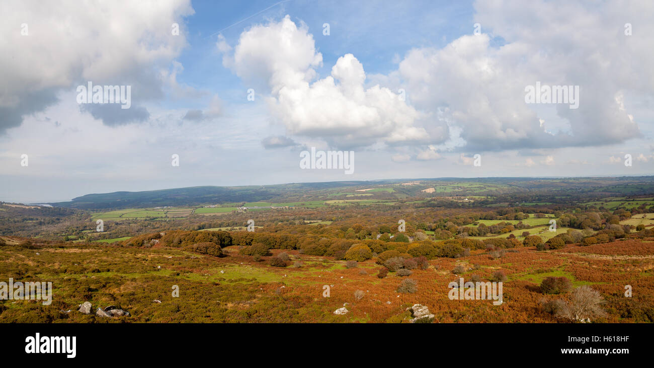 The forest in ty canol national nature reserve hi-res stock photography ...