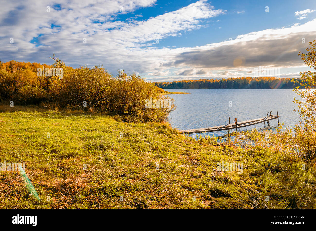 Golden autumn in the month of October in a beautiful forest Stock Photo ...