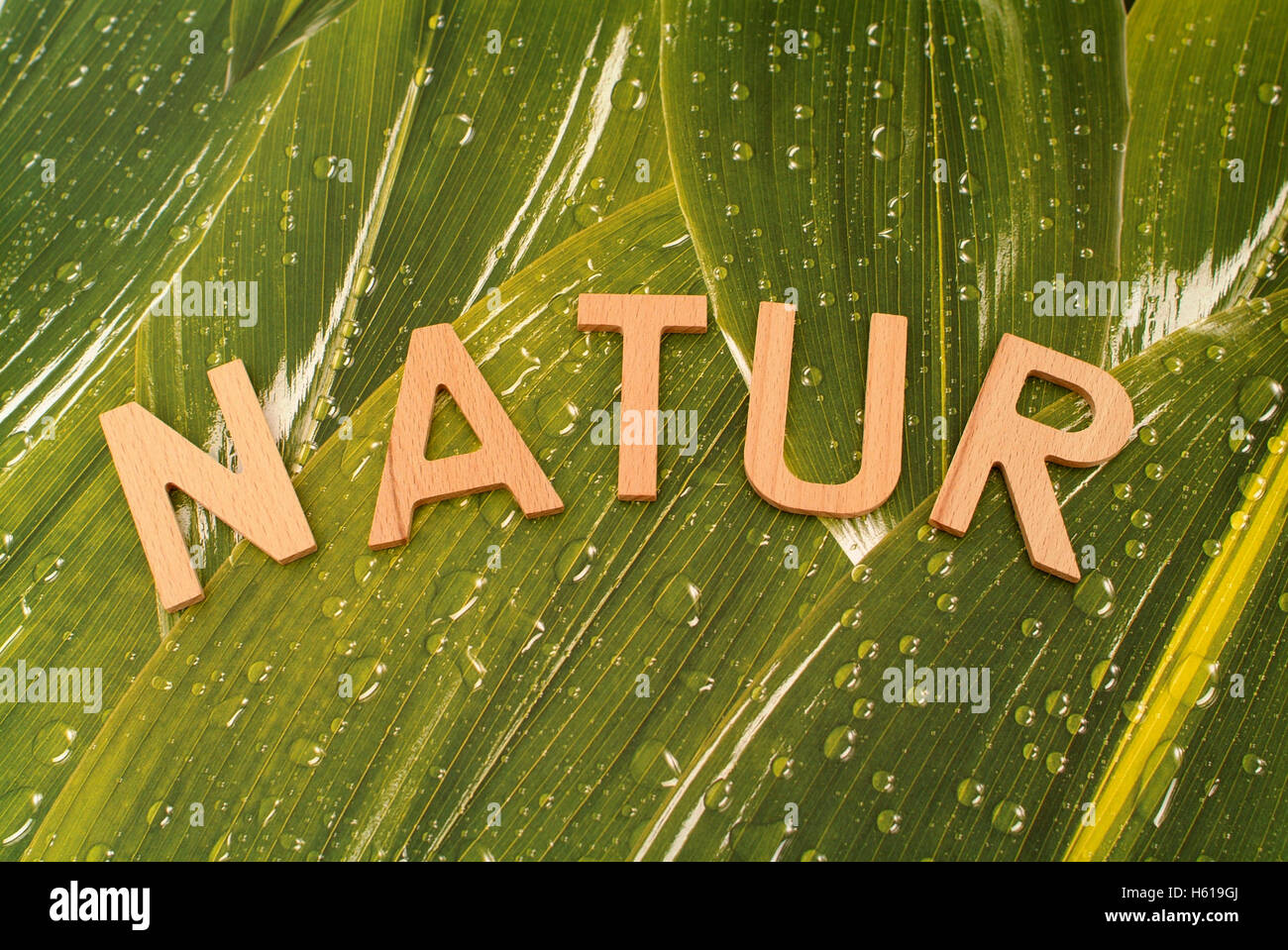 Symbolic for NATURE Stock Photo - Alamy