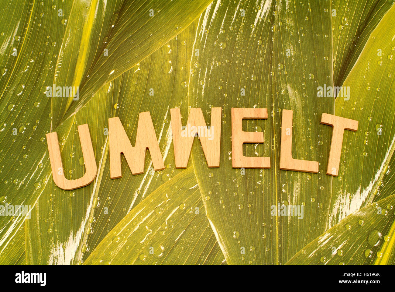 Symbolic for environment Stock Photo - Alamy