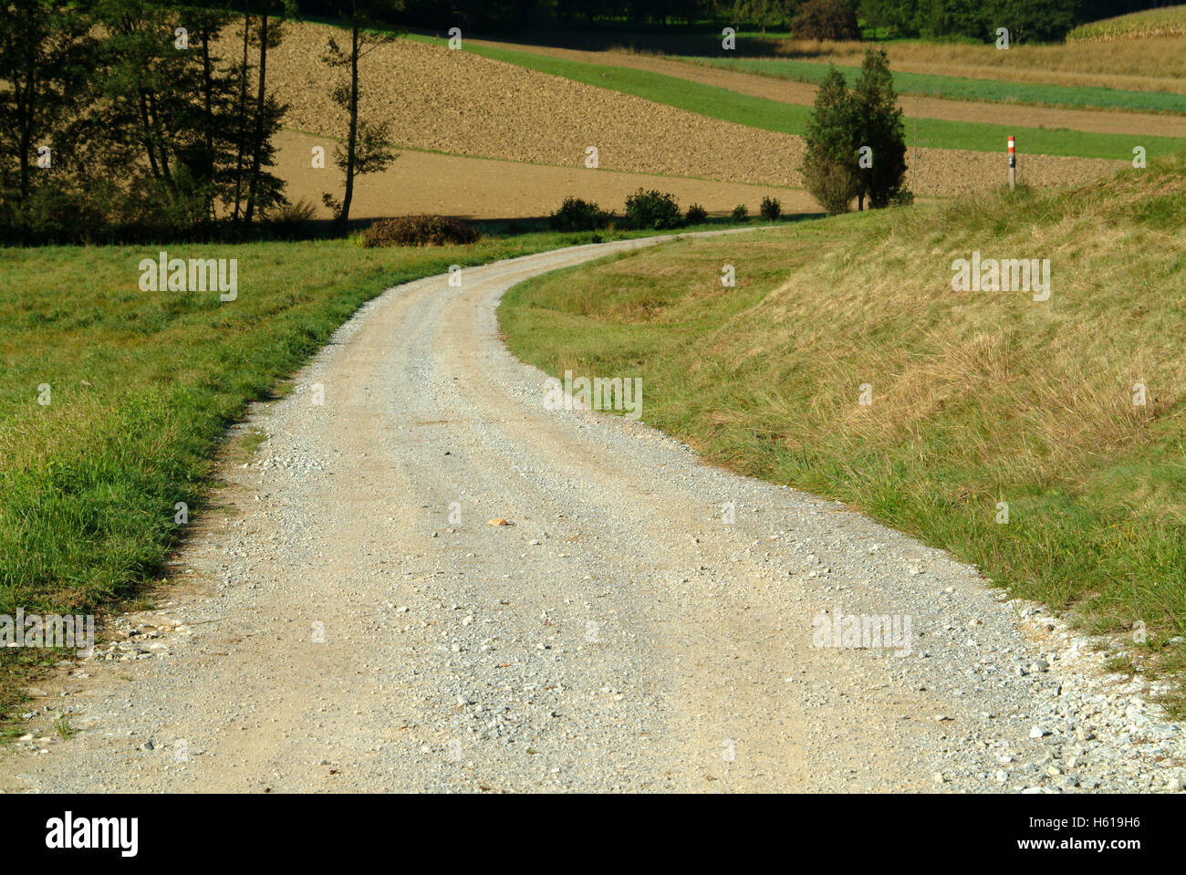 Field cart road Stock Photo - Alamy