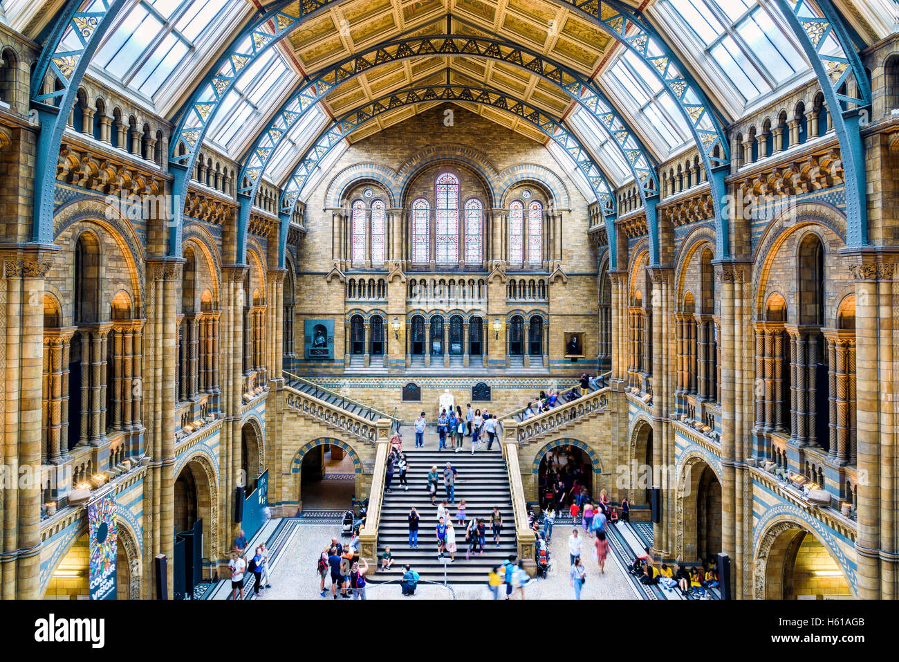 Natural history museum main hall hi-res stock photography and images ...