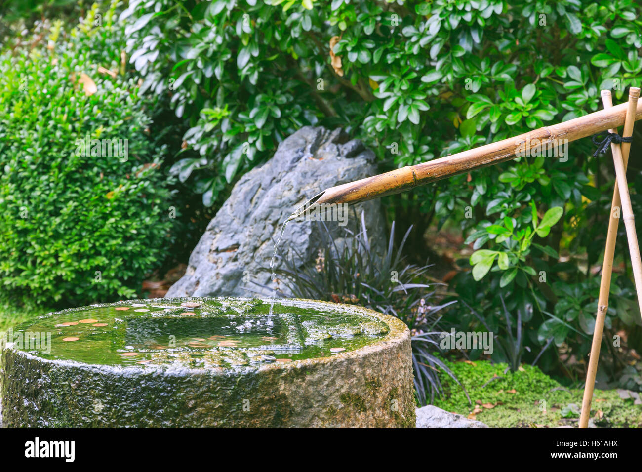 Oriental water feature in Holland Park in west London Stock Photo - Alamy
