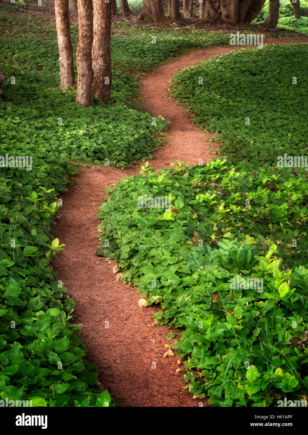 Paths path pathways pathway hi-res stock photography and images - Alamy