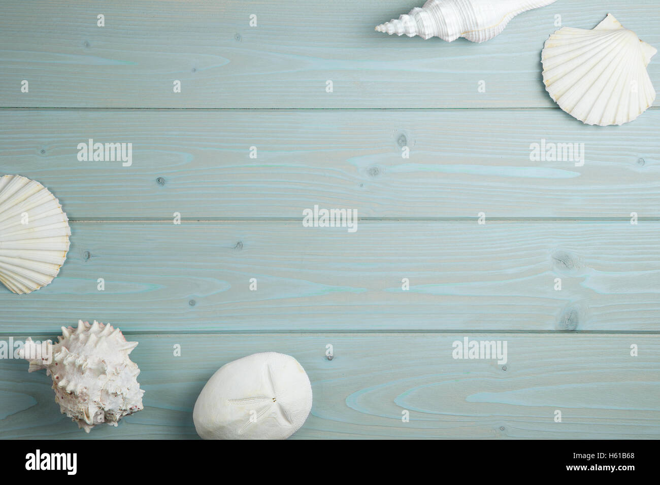 overhead of a collection of shells on wood top Stock Photo - Alamy