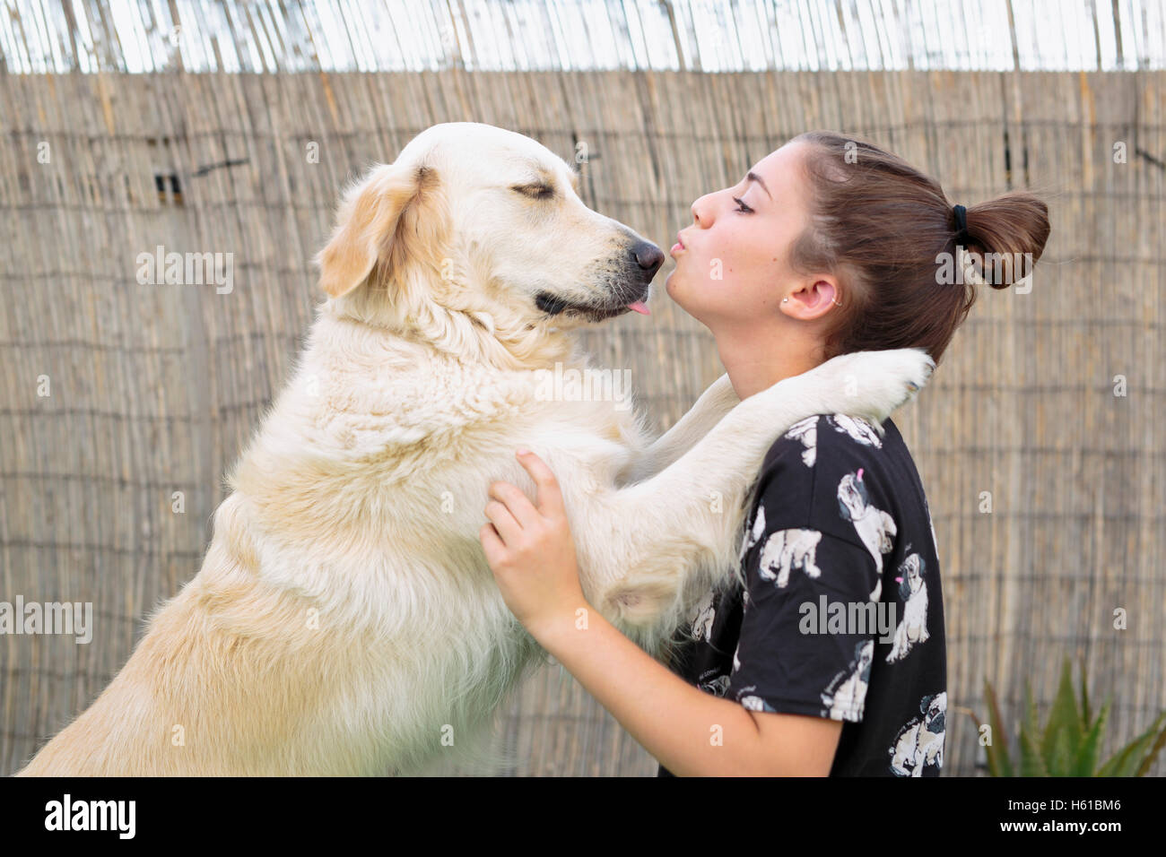 Dog breed Golden Retriever giving a hug to his owner. Take horizontal ...