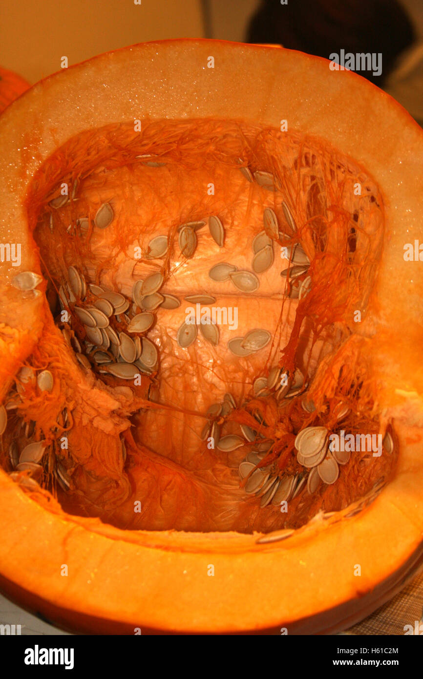 Pumpkin cut in half with seeds inside Stock Photo - Alamy