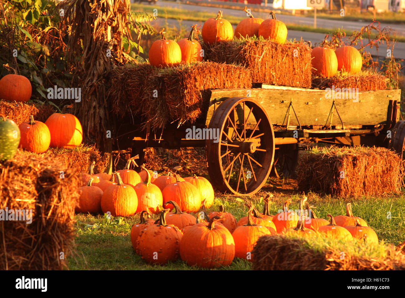 Display of pumpkins for sale at country store Stock Photo - Alamy