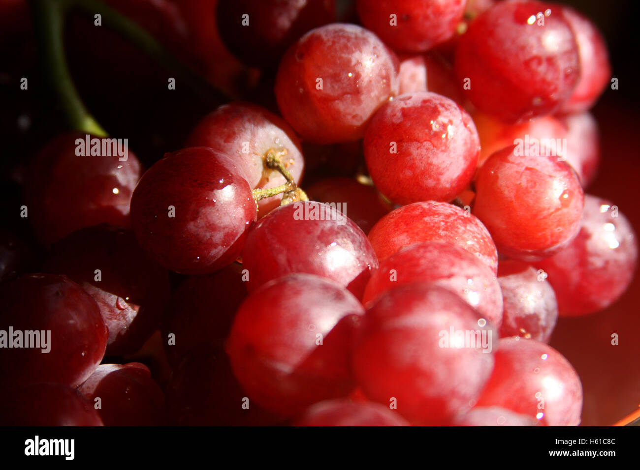 Close-up of red table grapes Stock Photo - Alamy