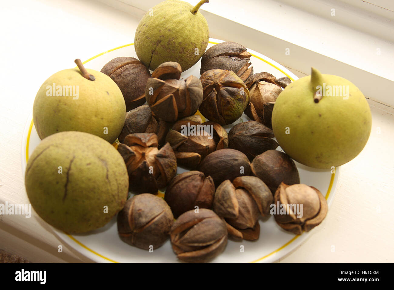 Nuts on plate Stock Photo - Alamy