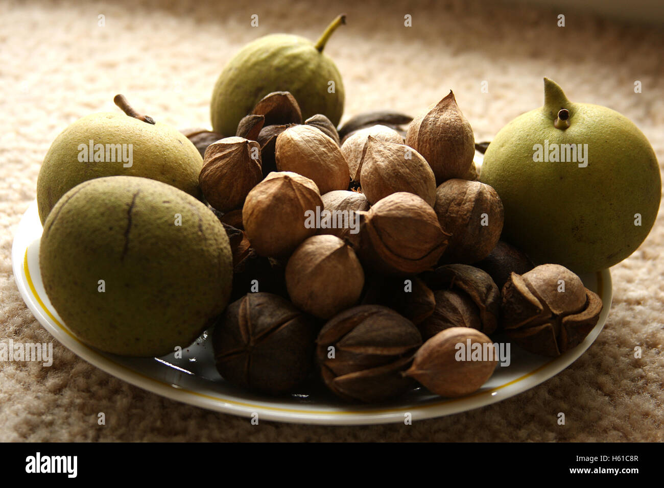 Smooth nuts hi-res stock photography and images - Alamy