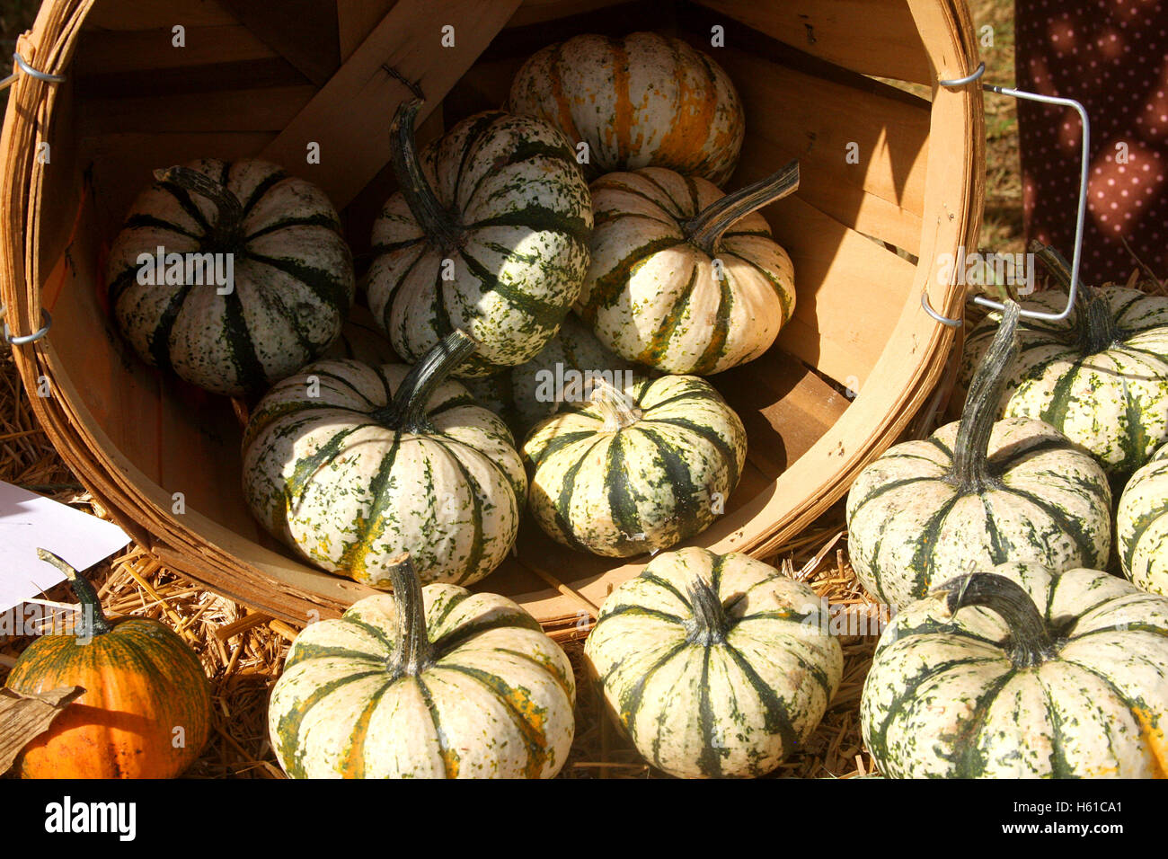 Small ripen fruit hi-res stock photography and images - Alamy