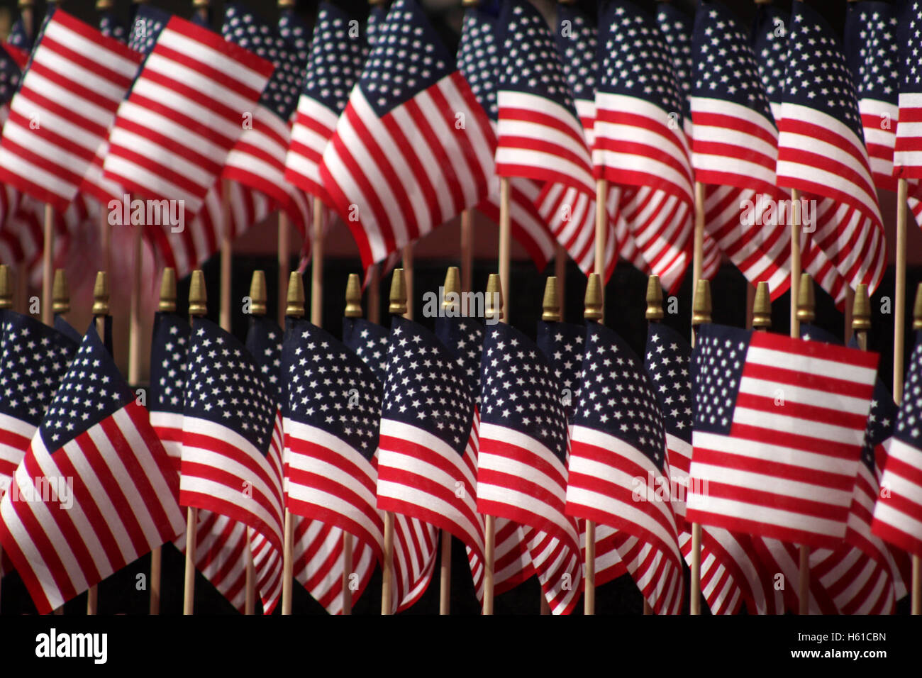 Display of hundreds of small American flags Stock Photo - Alamy
