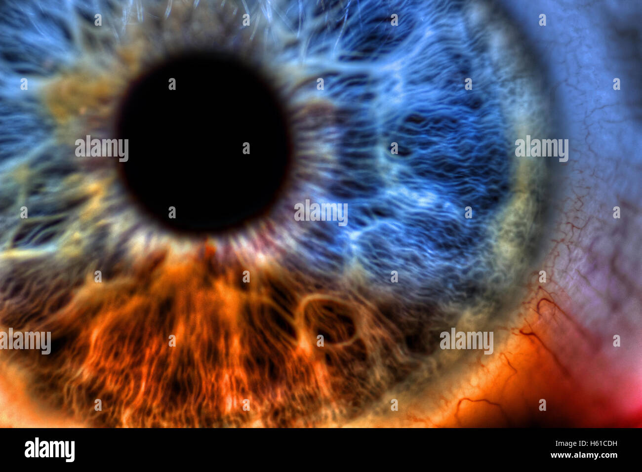 Close up of the human eye Stock Photo - Alamy
